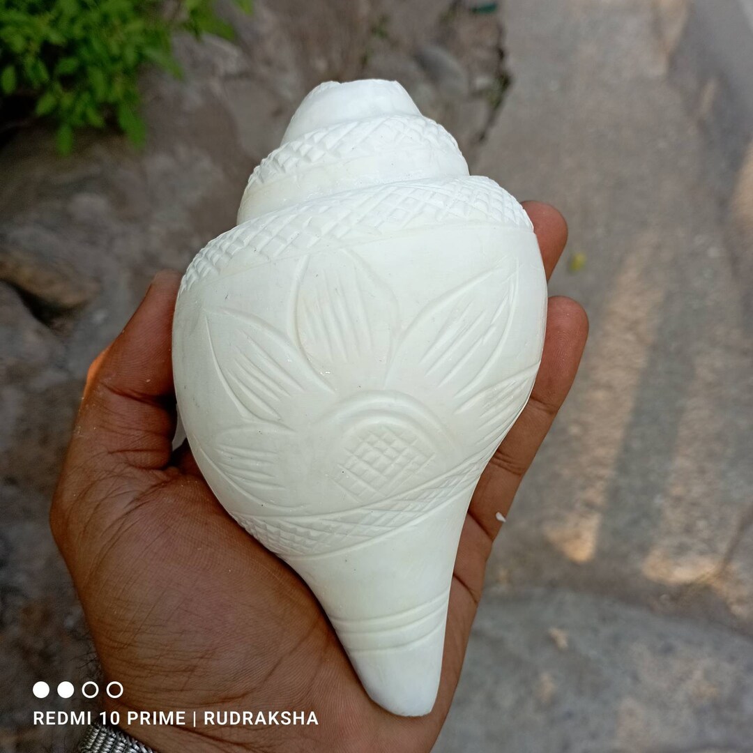 Conch Shell Spiritual Puja-blowing Shankh Big Soothing - Etsy
