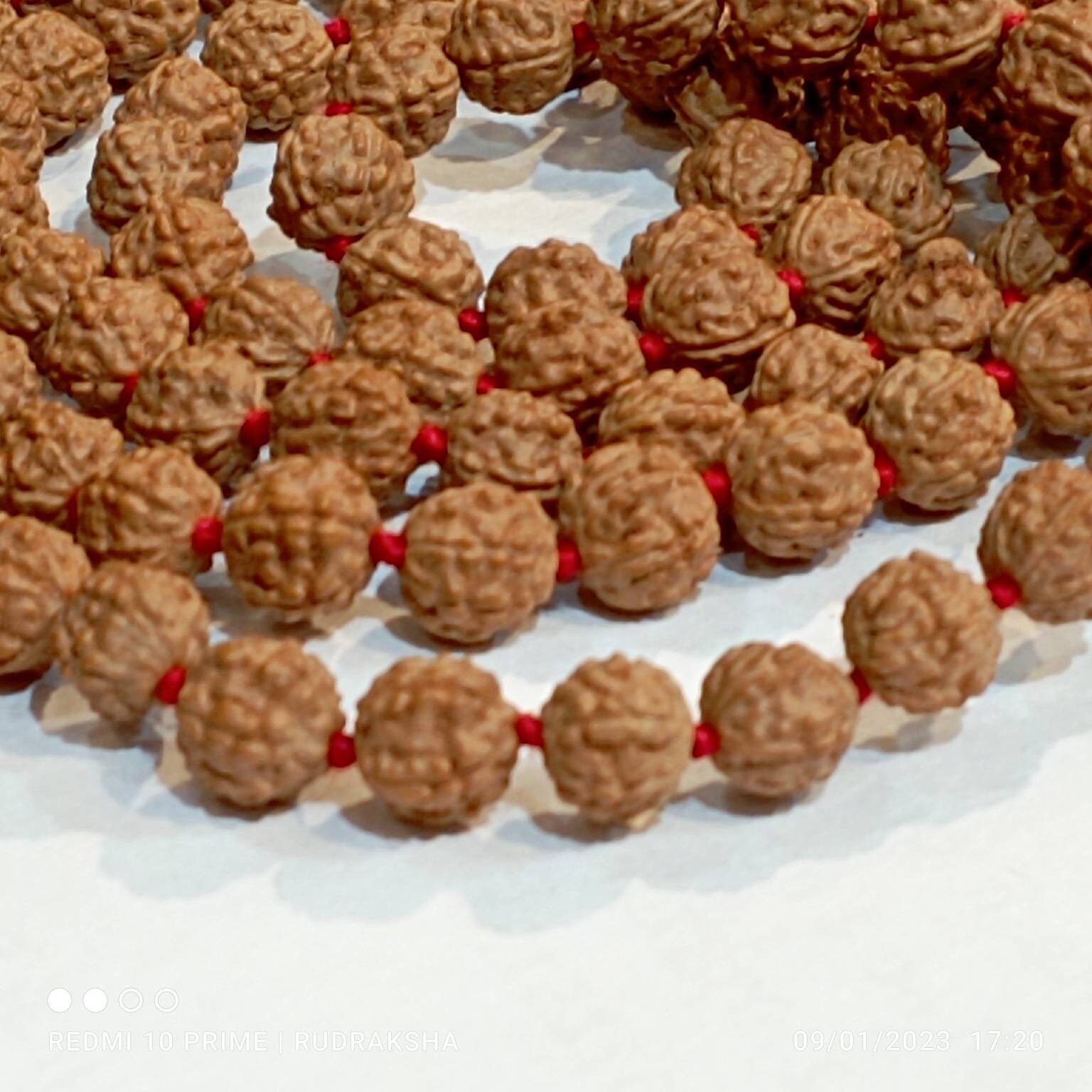 5 Mukhi Rudraksha Mala / Five Face Rudraksh Rosary Lab - Etsy