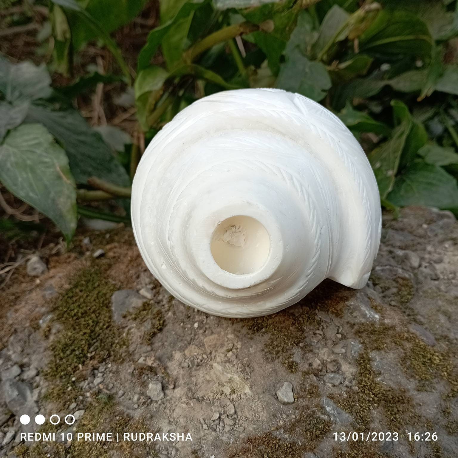 Conch Shell Spiritual Puja-blowing Shankh Big Loudunique - Etsy Australia