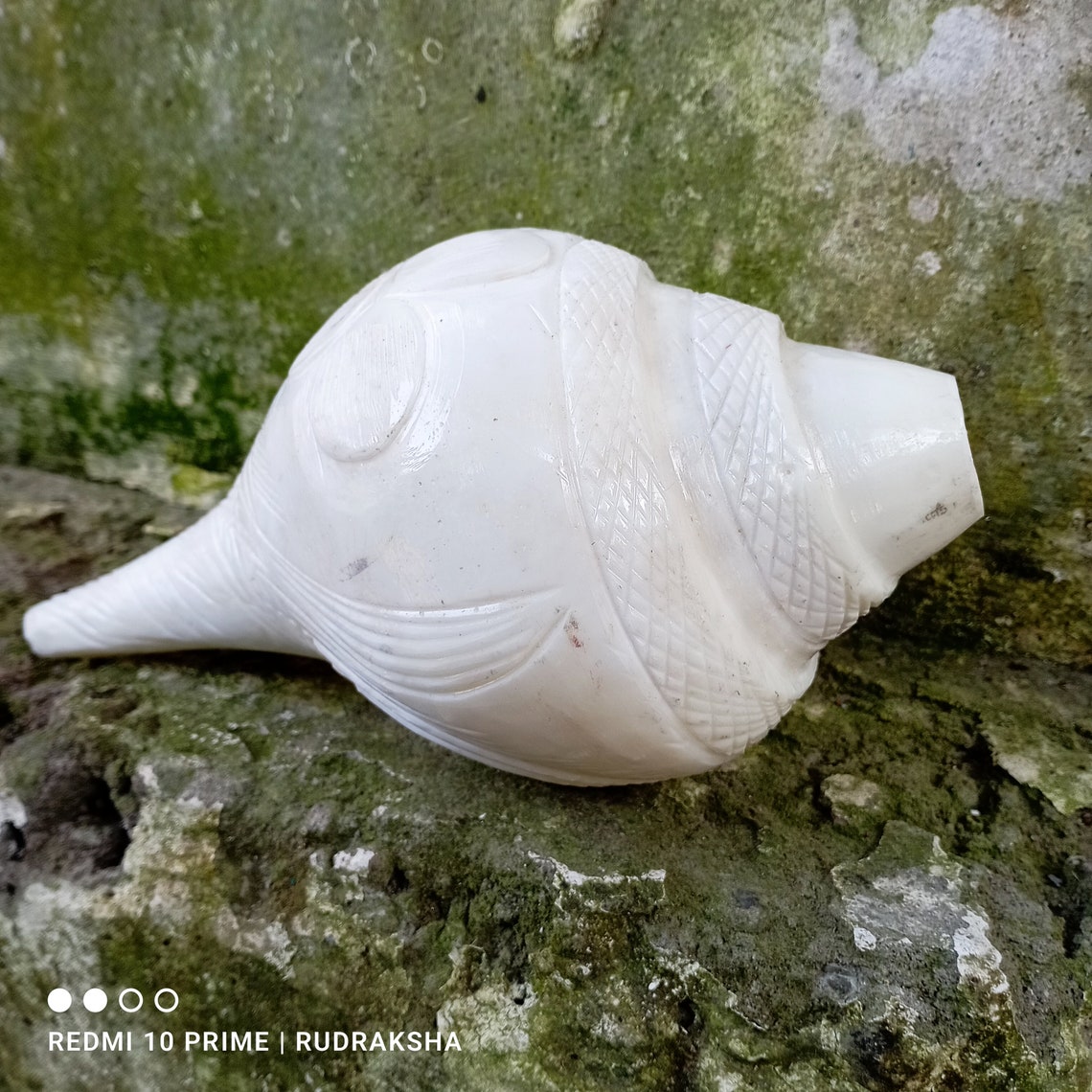 Conch Shell Spiritual Puja-blowing Shankh Big 9 Inches Soothing ...