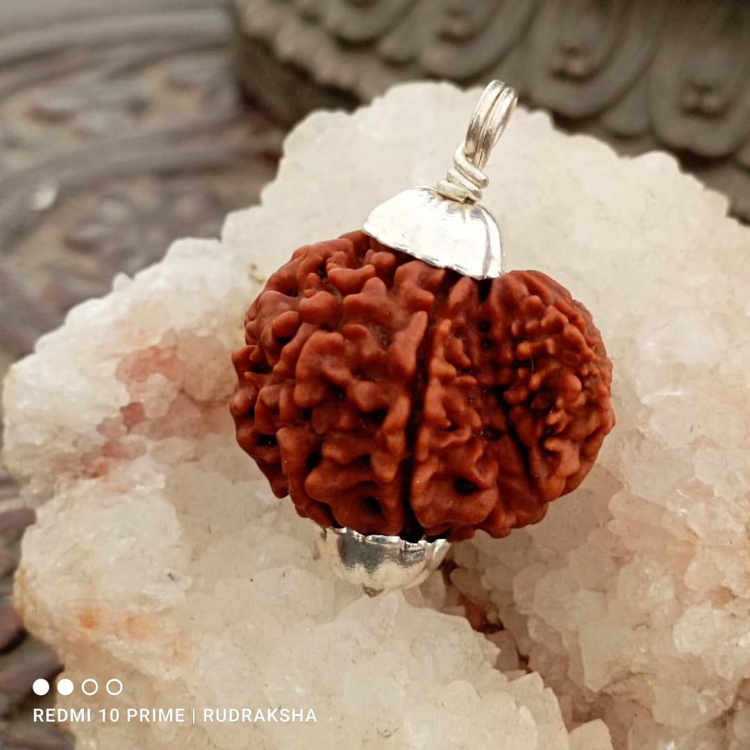 Rare Garbh Gauri Rudraksha - 11 Mukhi - Nepal Bead - Lab Certified - Etsy