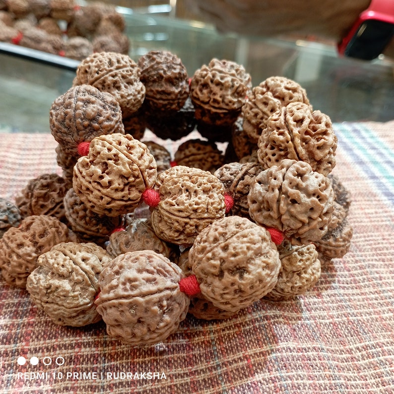 Nepali 5 Mukhi Rudraksha Kantha 54 Beads Mala Necklace,very Large Size ...