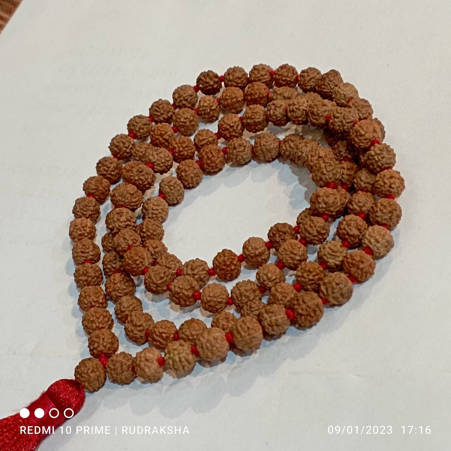5 Mukhi Rudraksha Mala / Five Face Rudraksh Rosary Lab - Etsy