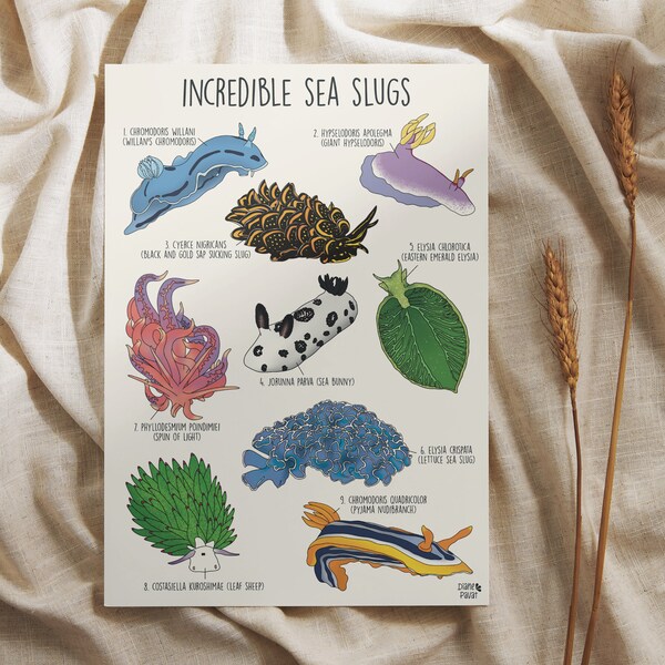 Wildlife Poster - Etsy UK