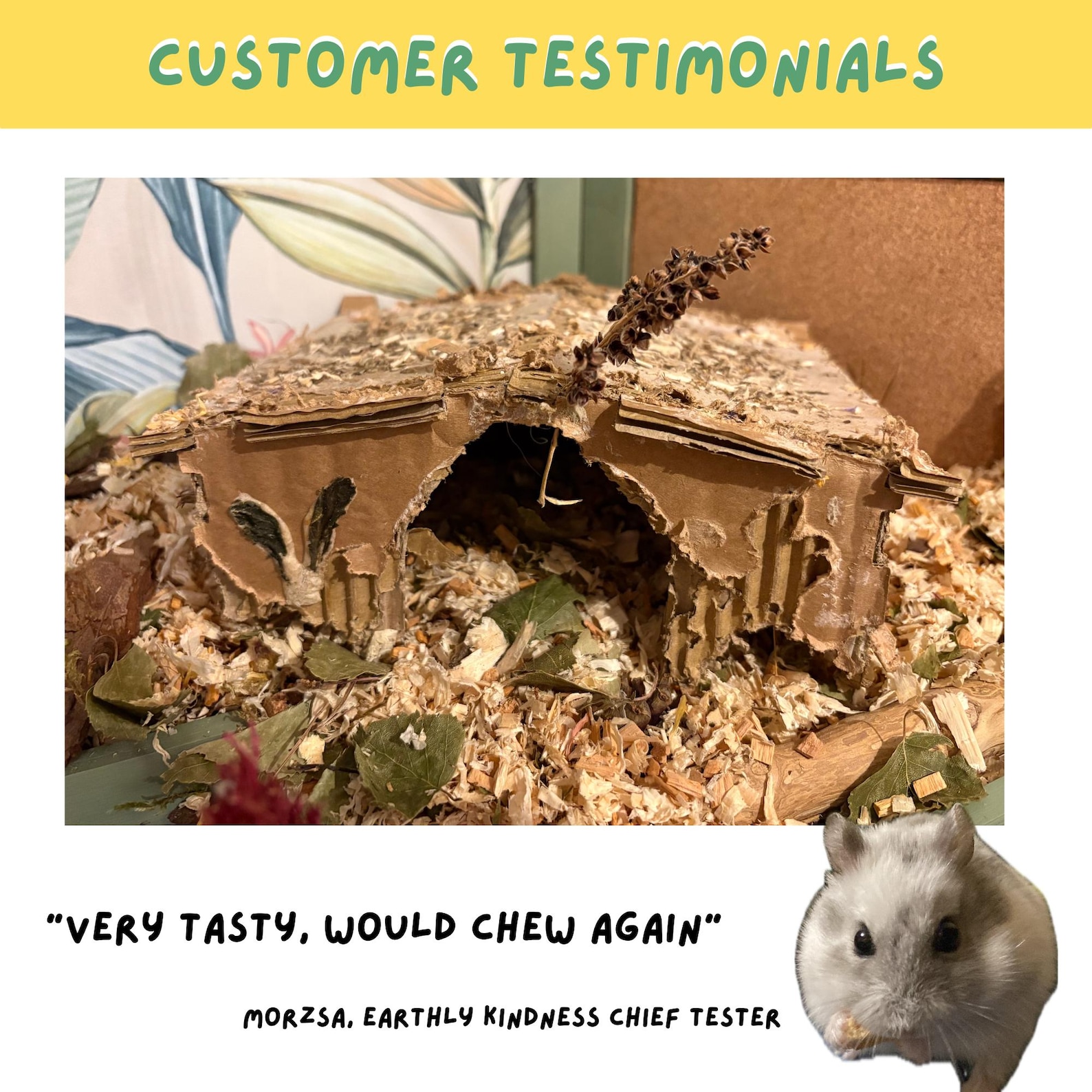 Cardboard Hamster Cabin! Boredom Breaker Enrichment Activity - Decorate ...