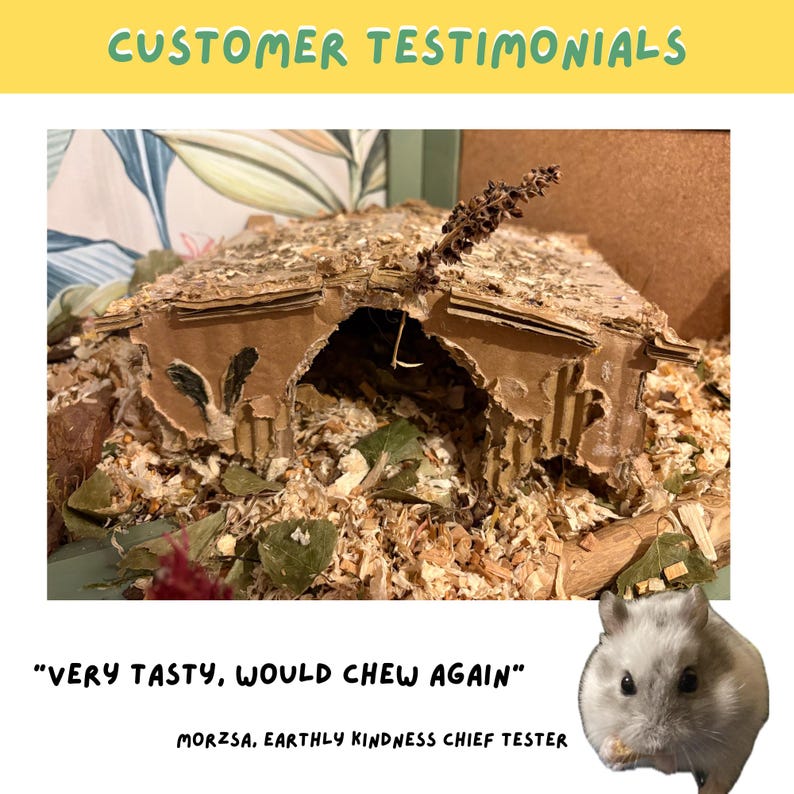 DIY Cardboard Hamster Cabin: Enrichment Hide House Cage Accessory - Etsy
