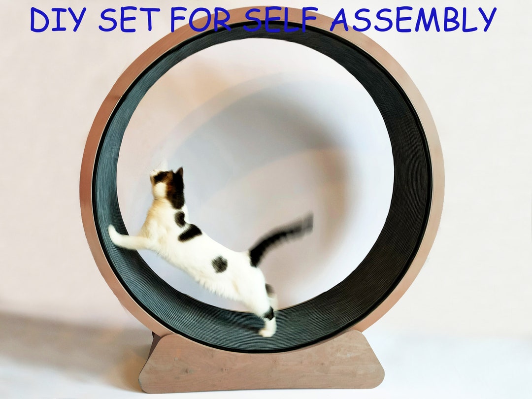 DIY KIT Wooden Wheel for Cats 120-140cm / 47-55'' for SELF Assembly - Etsy