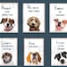 Dog Themed Classroom Sayings Posters-digital Images - Etsy