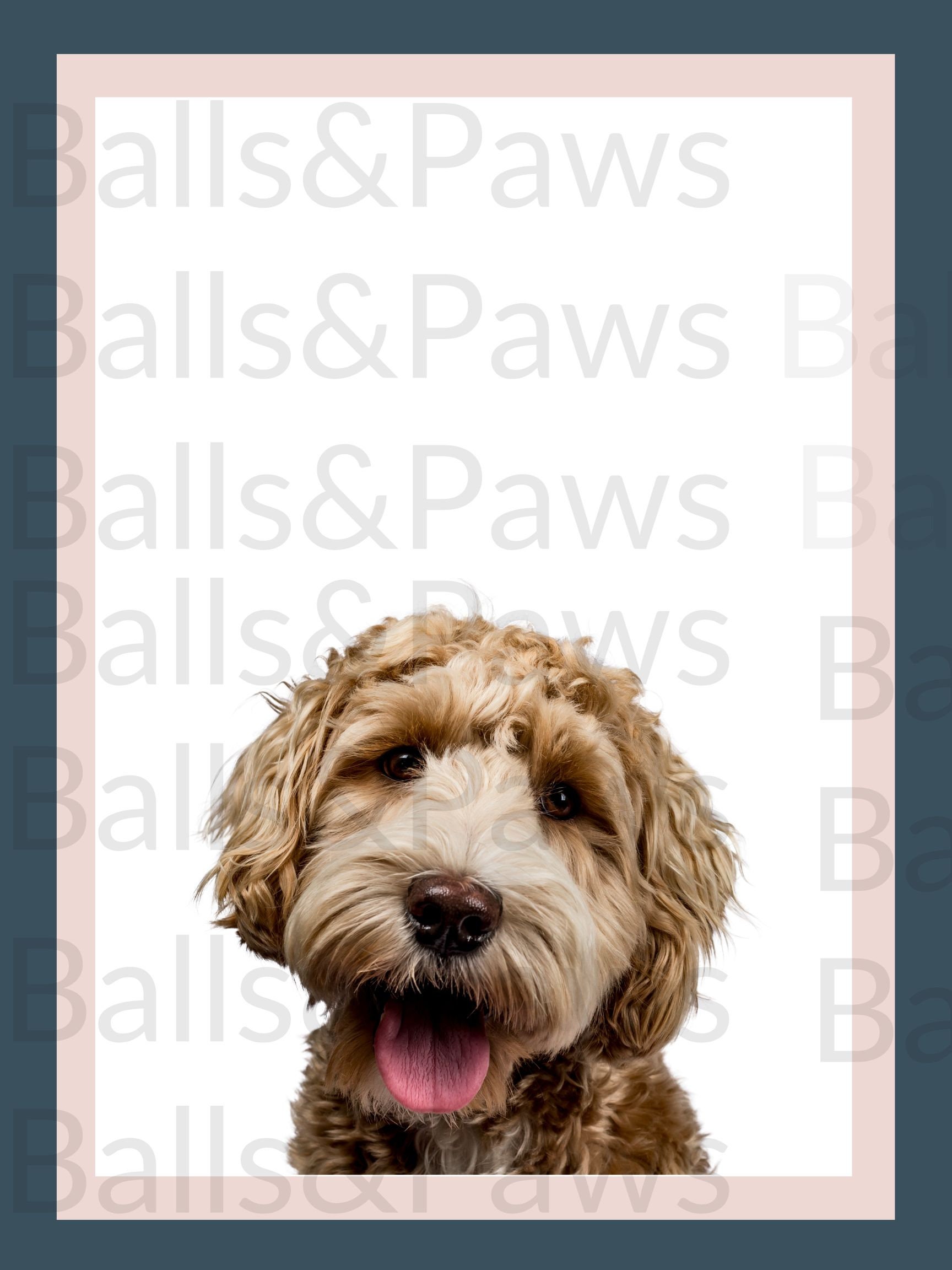 Dog Themed Classroom Sayings Posters-digital Images - Etsy