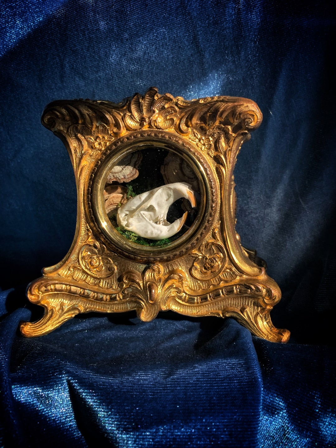 Pocket Gopher Skull in Antique Brass Mantel Clock Case - Etsy