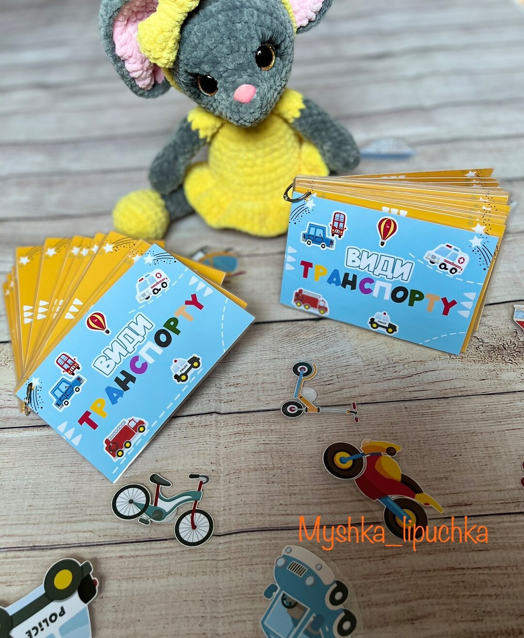 Doman Cards, Busy Book, Quiet Game - TYPES OF TRANSPORT - Etsy