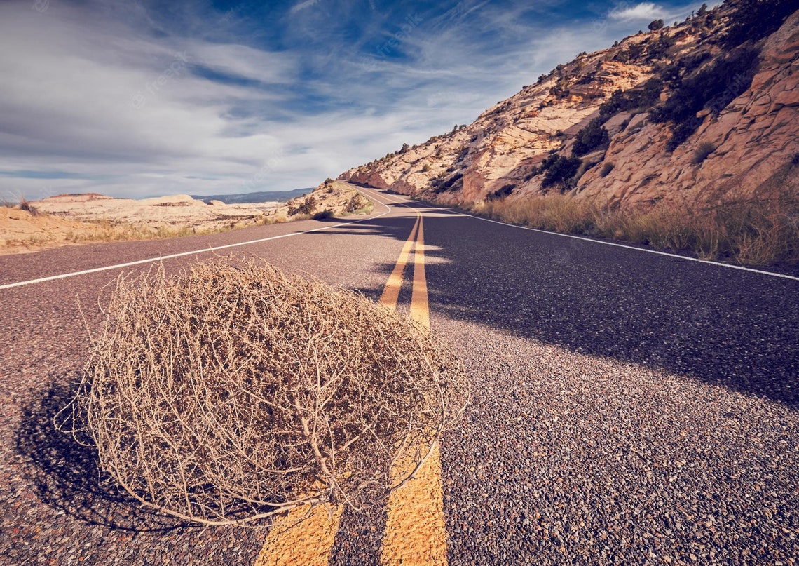 Small Yellowstone Tumbleweed! - Etsy
