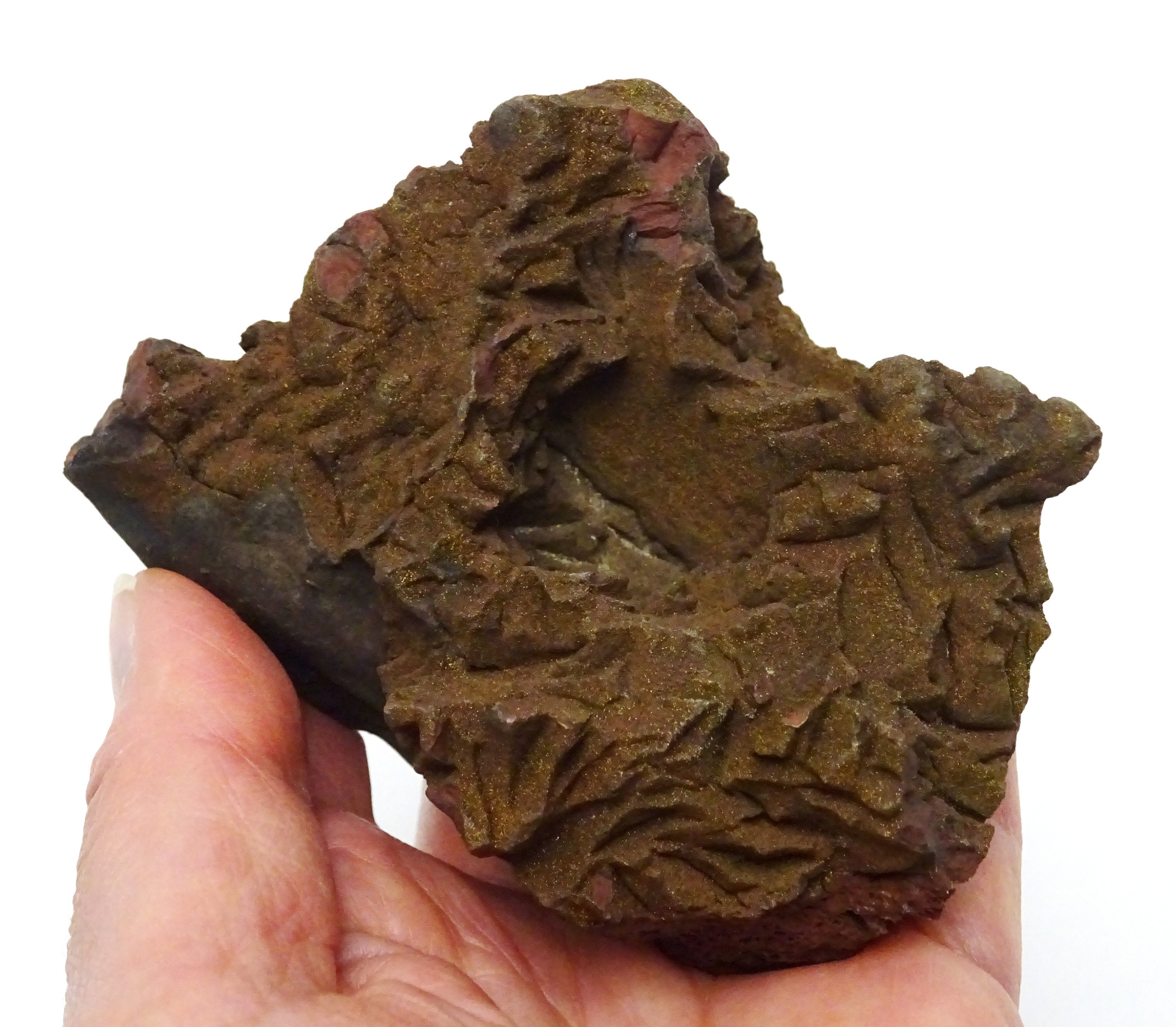 Cornish Ironstone With Epimorphs and Micro Crystals Specimen, Cornwall ...