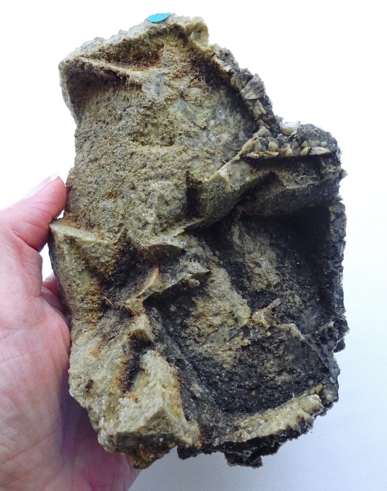 Fluorite Epimorph Mineral Specimen, From Alston Moor, Cumbria, UK ...