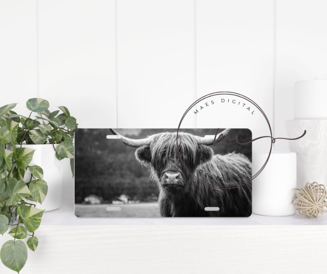 Black and White Highland Cow License Plate Sublimation Design PNG SVG ...