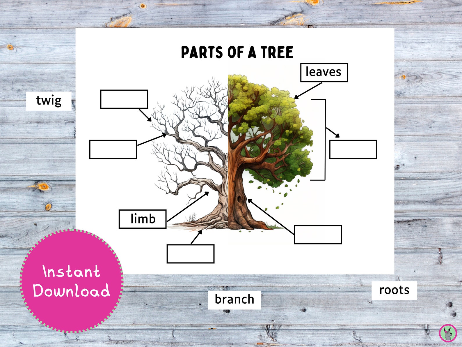 Tree Unit Study Nature Study Life Cycle of Tree Homeschool Printable ...