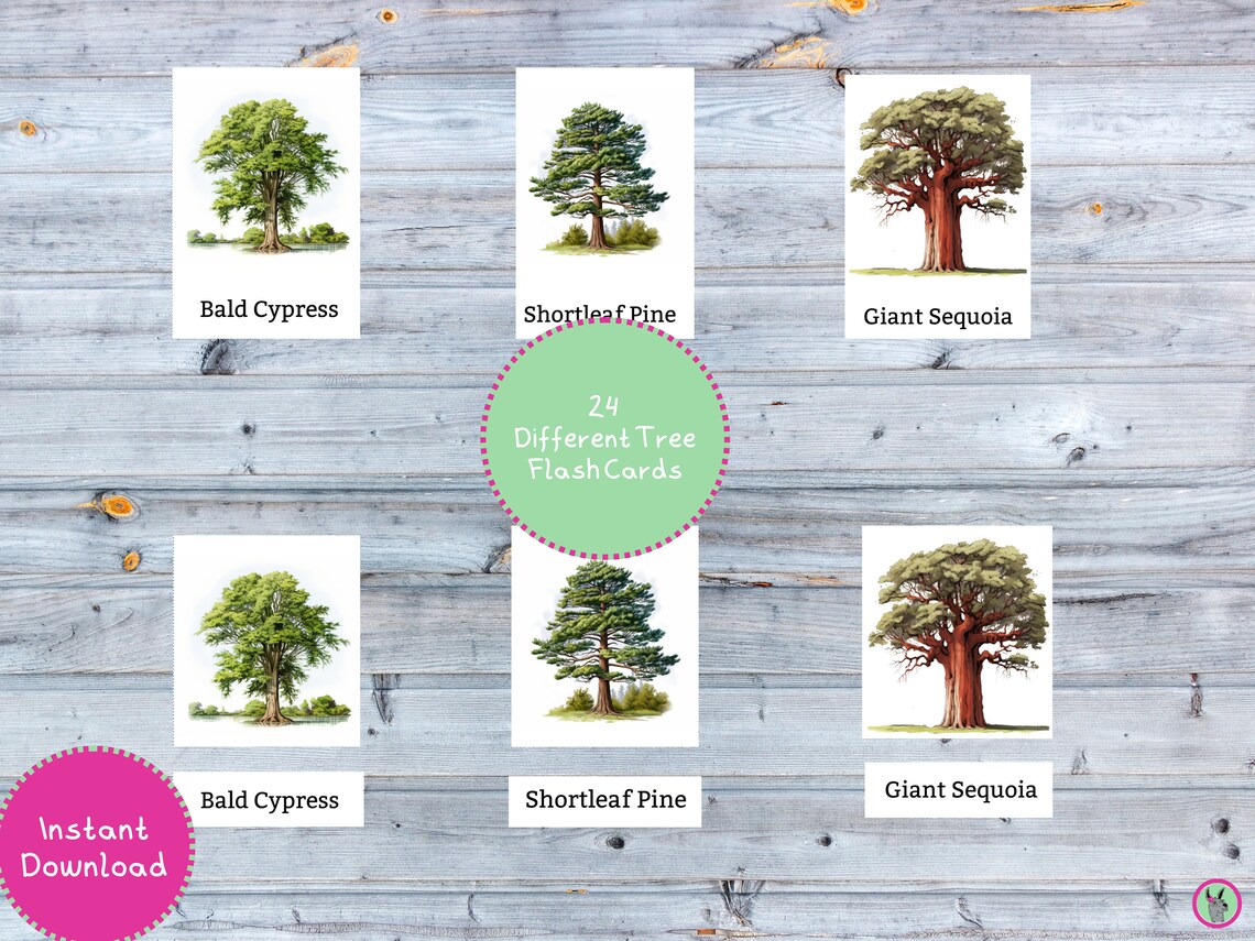 Tree Unit Study Nature Study Life Cycle of Tree Homeschool Printable ...
