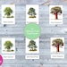 Tree Unit Study Nature Study Life Cycle of Tree Homeschool Printable ...