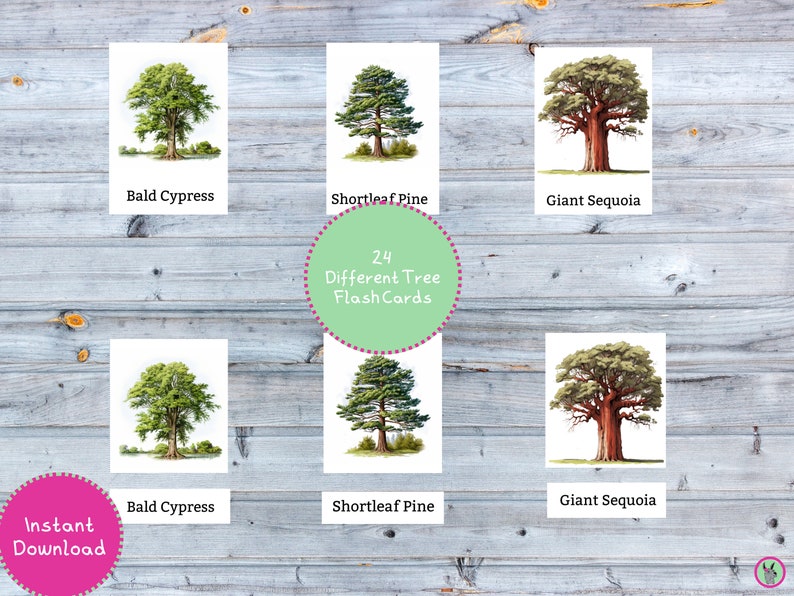 Tree Unit Study Nature Study Life Cycle of Tree Homeschool Printable ...
