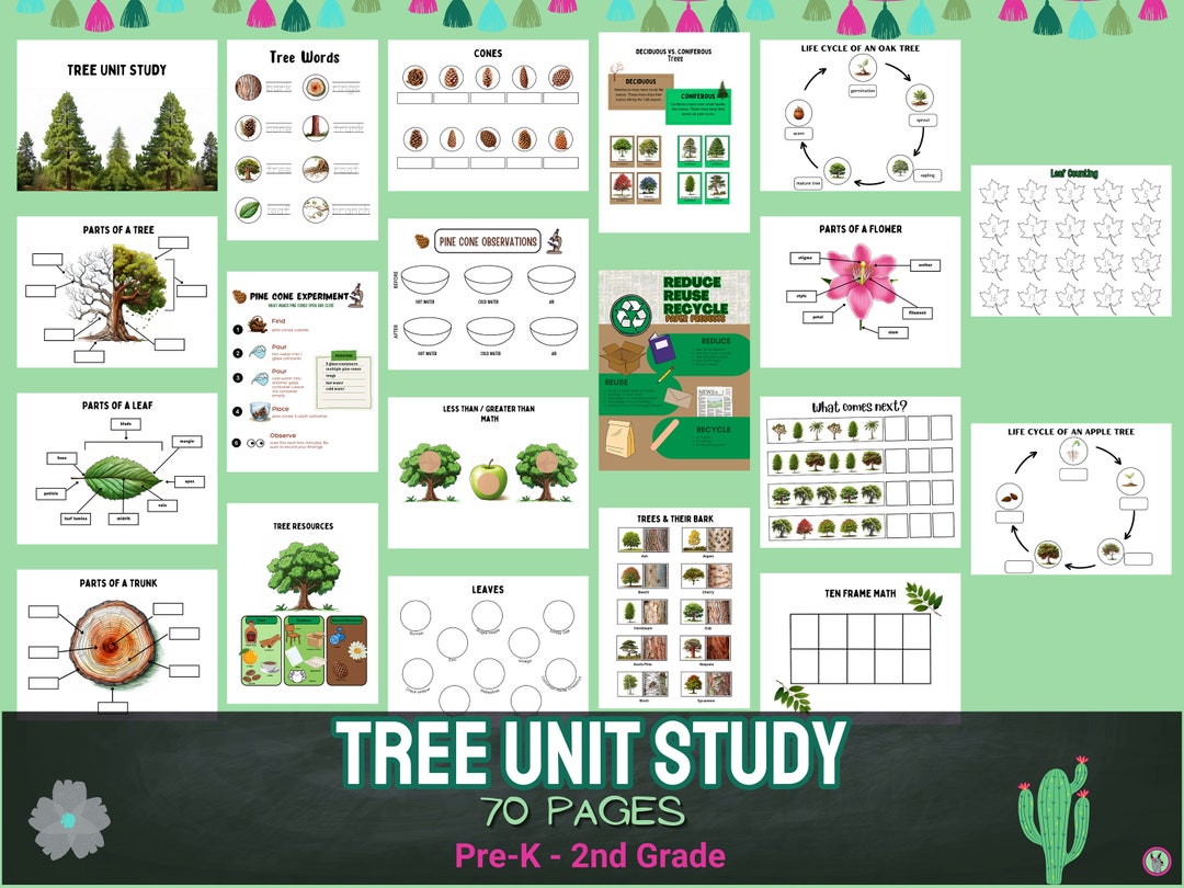 Tree Unit Study Nature Study Life Cycle of Tree Homeschool Printable ...