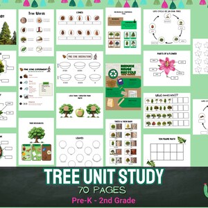 Tree Unit Study Nature Study Life Cycle of Tree Homeschool Printable ...