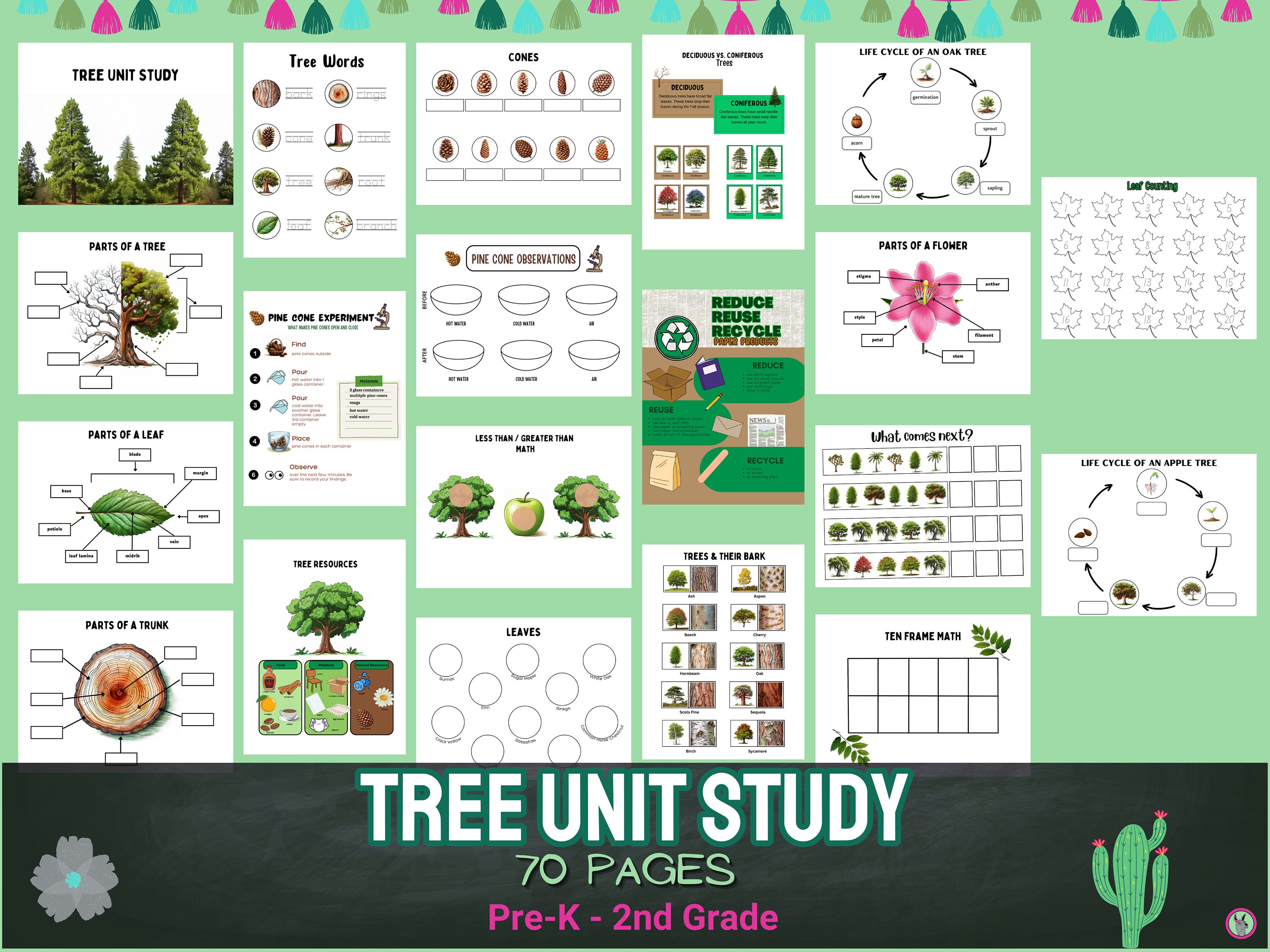 Tree Unit Study Nature Study Life Cycle of Tree Homeschool Printable ...
