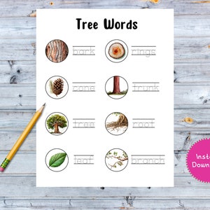 Tree Unit Study Nature Study Life Cycle of Tree Homeschool Printable ...
