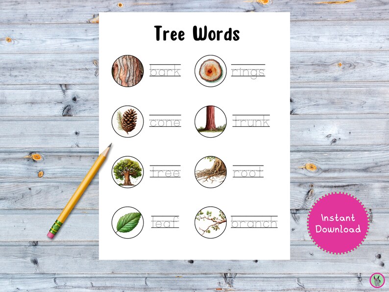 Tree Unit Study Nature Study Life Cycle of Tree Homeschool Printable ...