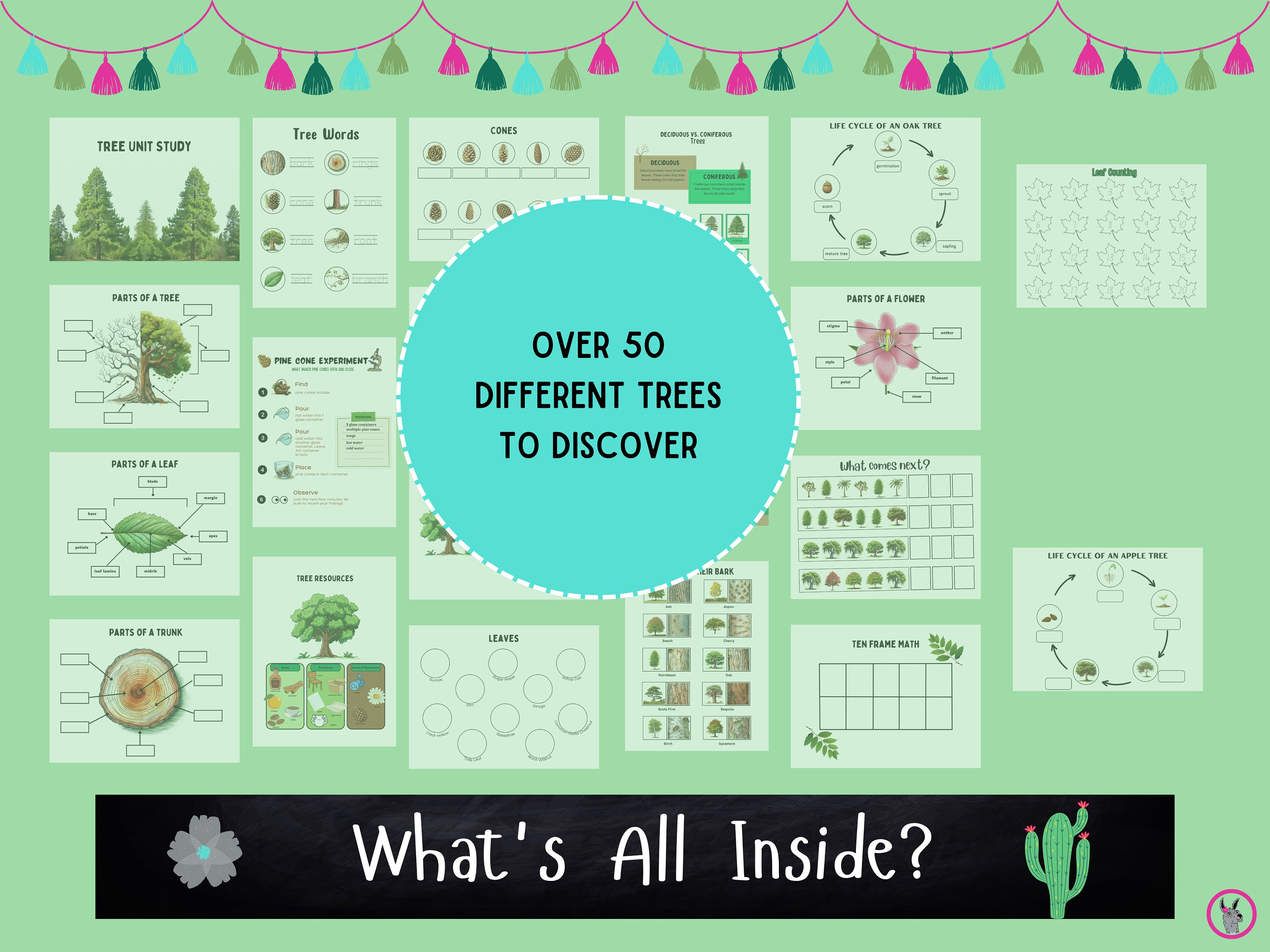 Tree Unit Study Nature Study Life Cycle of Tree Homeschool Printable ...