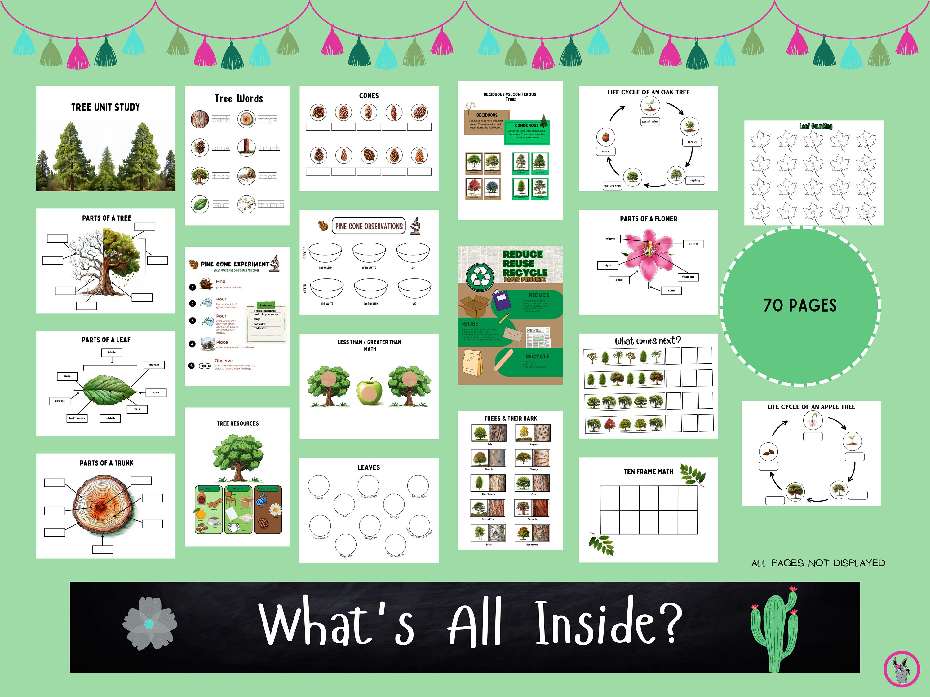 Tree Unit Study Nature Study Life Cycle of Tree Homeschool Printable ...