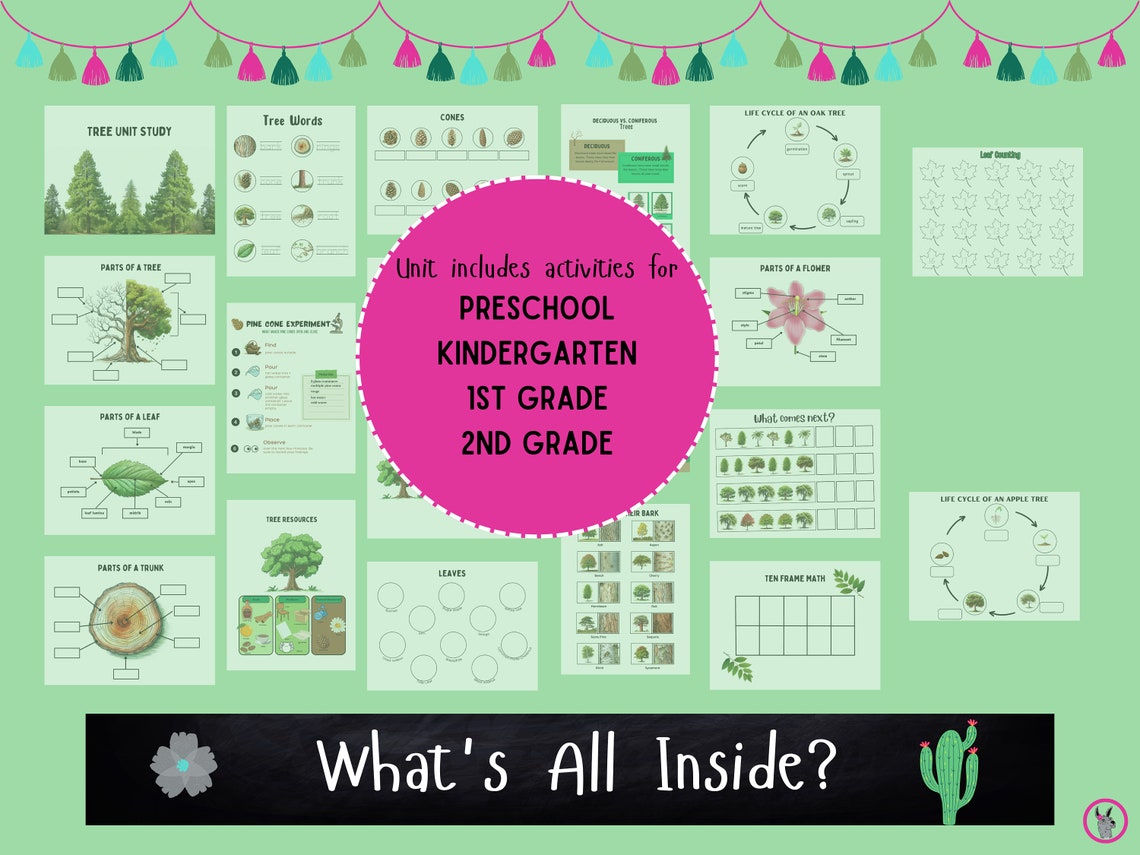 Tree Unit Study Nature Study Life Cycle of Tree Homeschool Printable ...