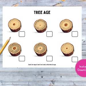 Tree Unit Study Nature Study Life Cycle of Tree Homeschool Printable ...