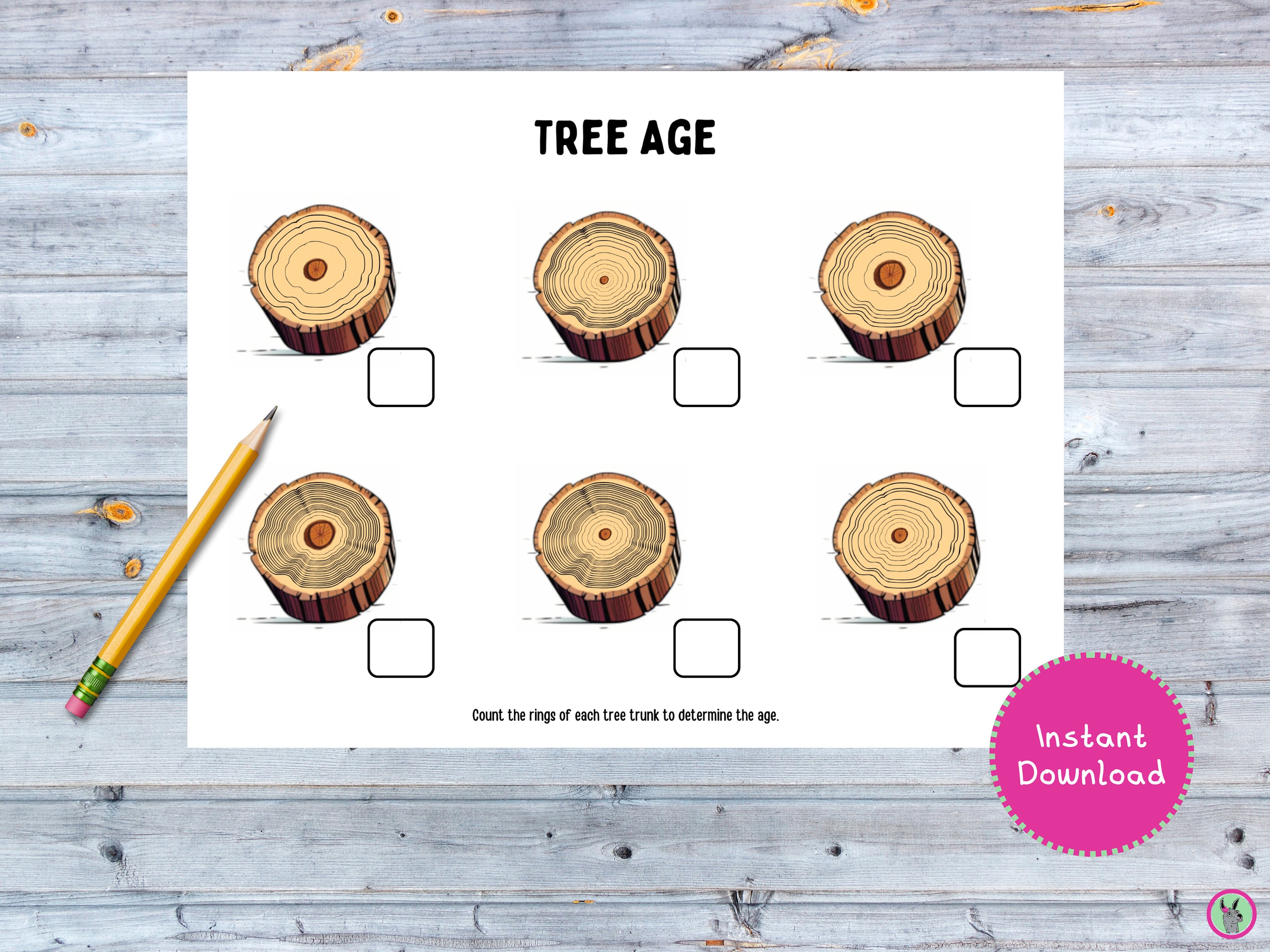 Tree Unit Study Nature Study Life Cycle of Tree Homeschool Printable ...