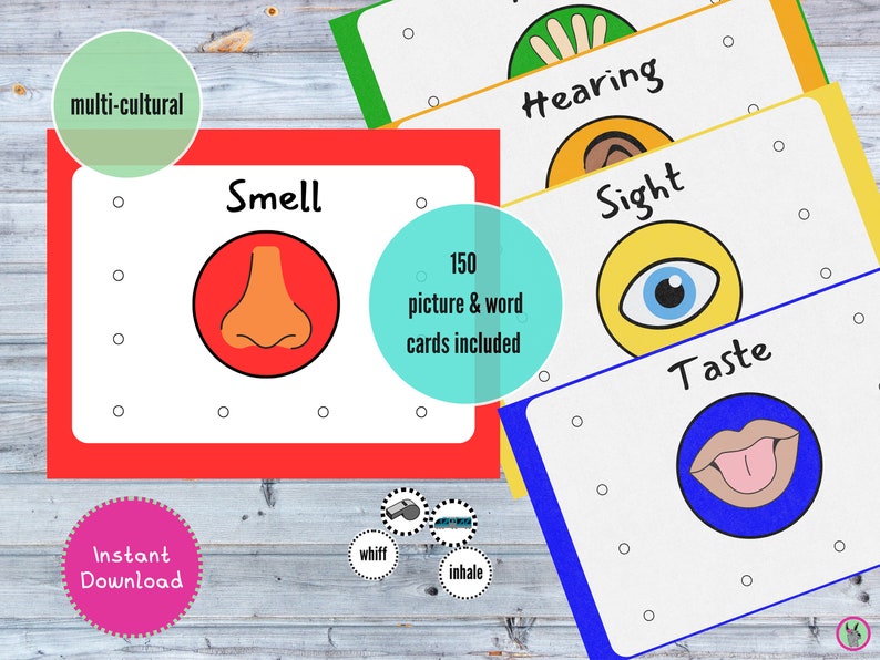 5 Senses Sorting Activity, 5 Senses Busy Matching Mats, Learning ...
