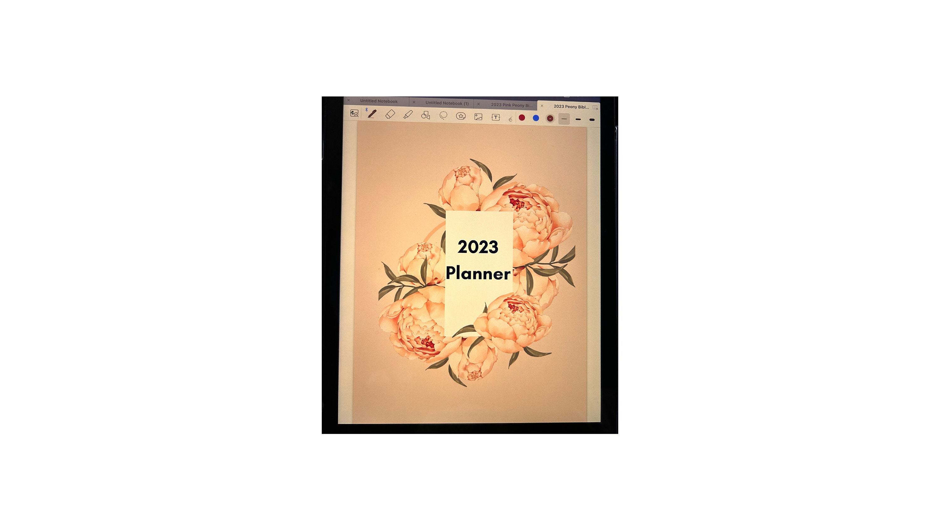 2023 Digital Bible Reading Planner - Etsy