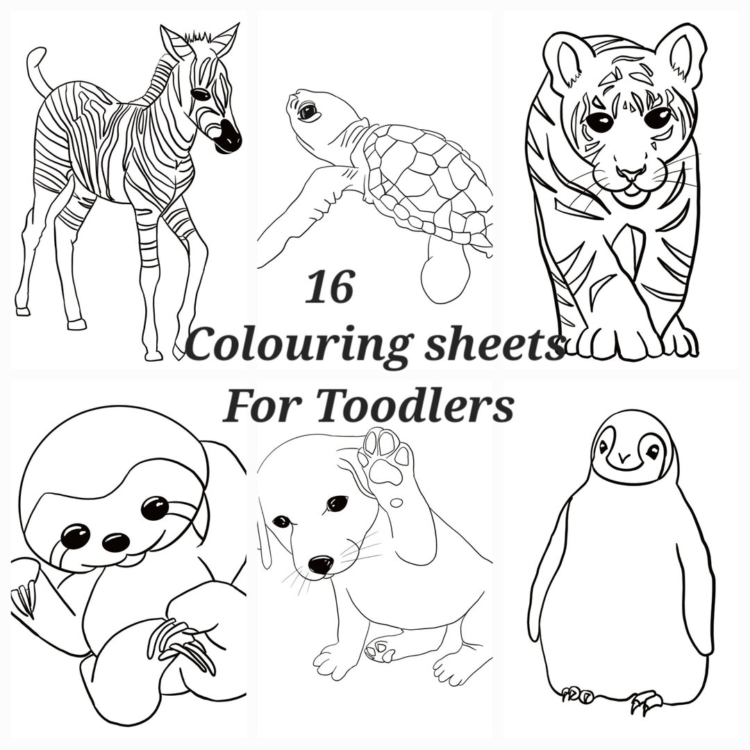16 Different Animal Colourings for Kids, Kids Colouring Book. DIGITAL ...