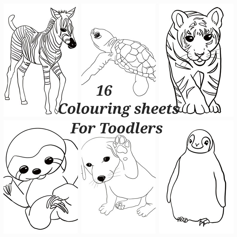 16 Different Animal Colourings for Kids, Kids Colouring Book. DIGITAL ...