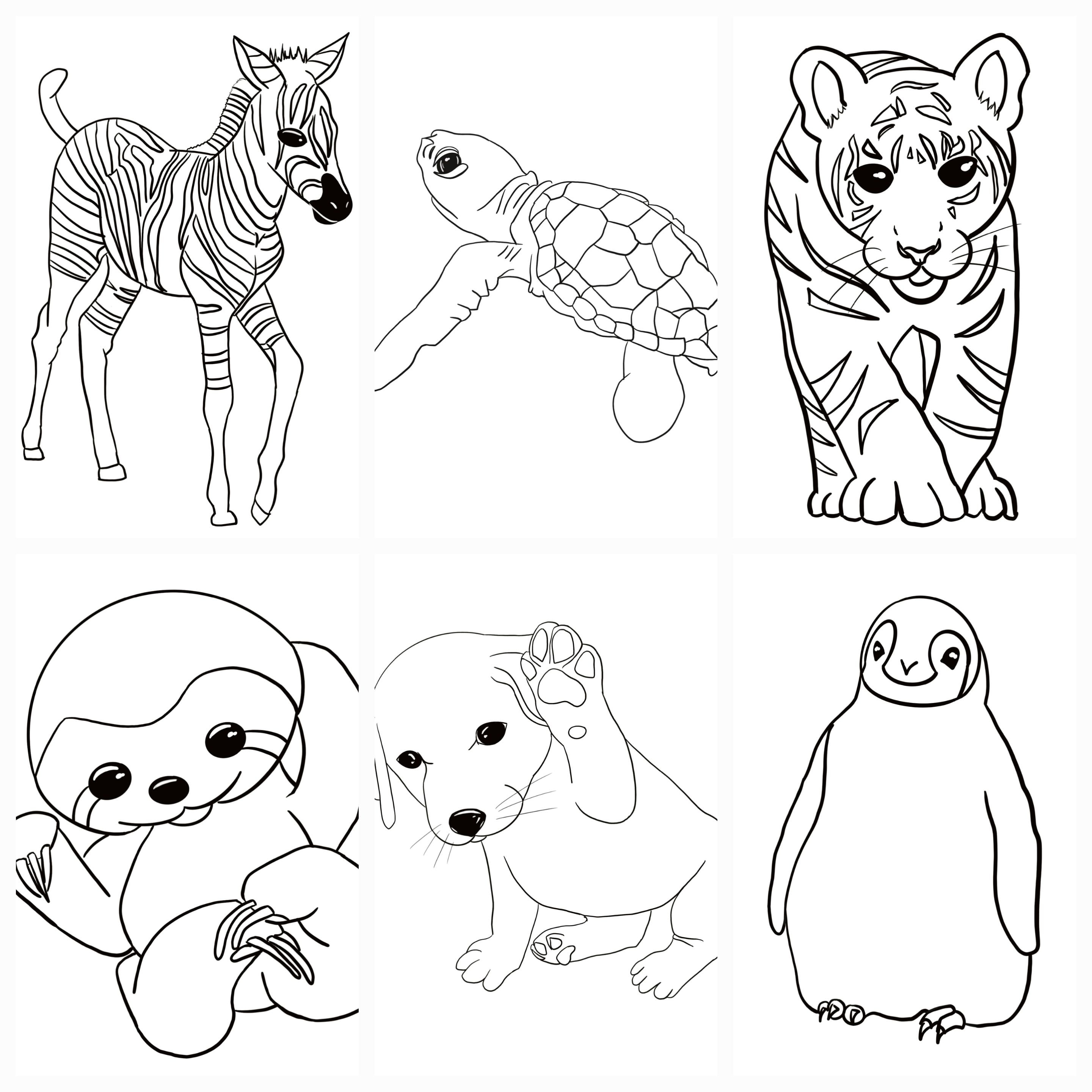 16 Different Animal Colourings for Kids, Kids Colouring Book. DIGITAL ...