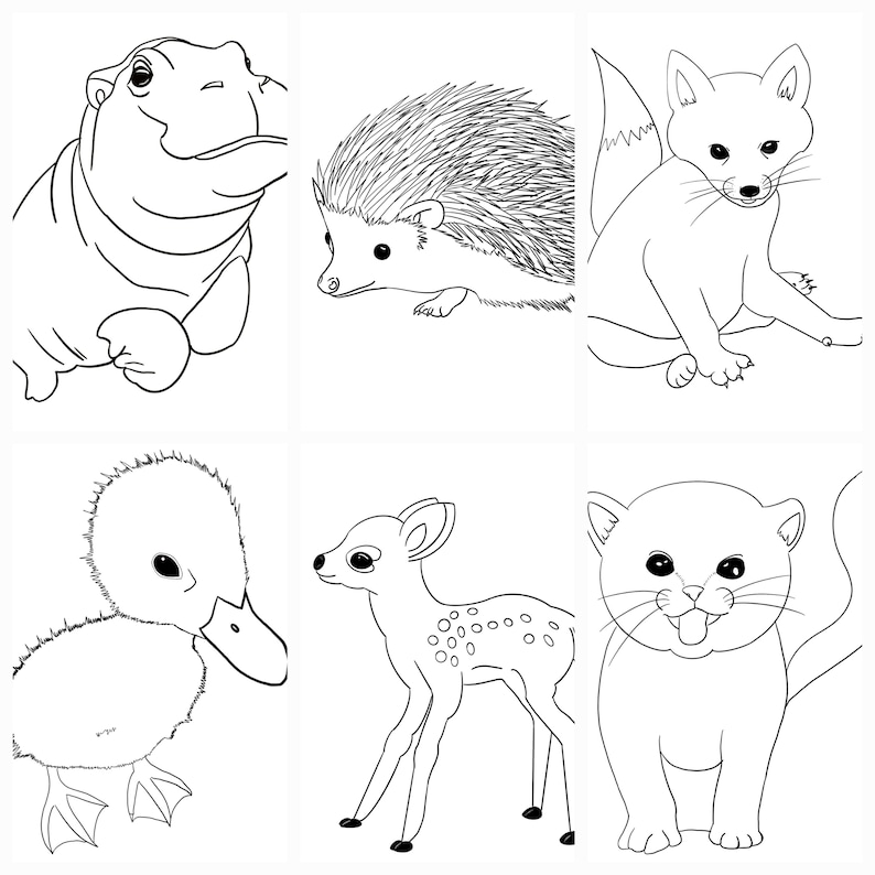 16 Different Animal Colourings for Kids, Kids Colouring Book. DIGITAL ...