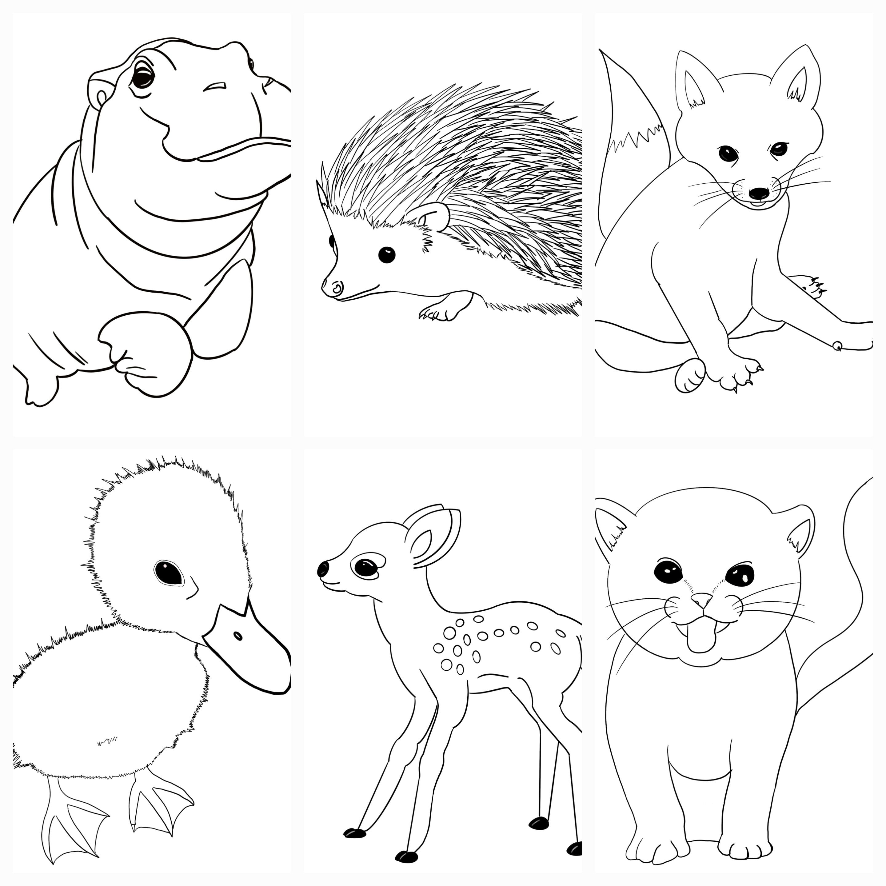 16 Different Animal Colourings for Kids, Kids Colouring Book. DIGITAL ...
