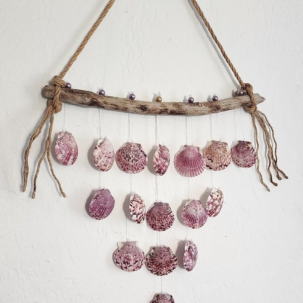 Seashell Hanging - Etsy