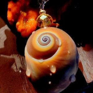 Shark Eye Shell Necklace, Mermaid Jewelry, Unisex Seashell Pendant - Etsy