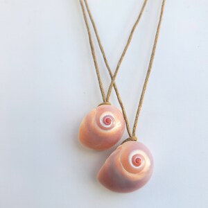Rare Rainbow Moon Shell Pendant Necklace. Little Mermaid Necklace ...