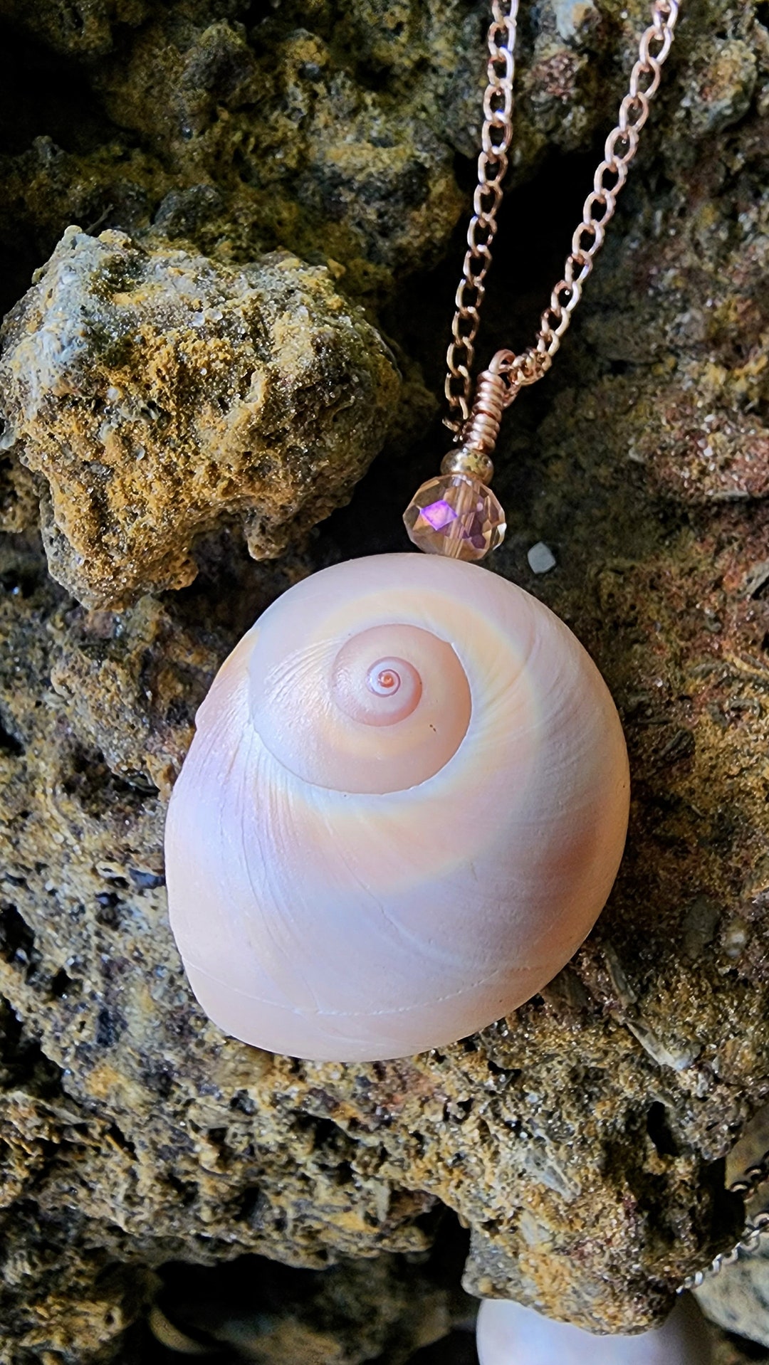 Rare Rainbow Moon Shell Necklace and Earrings. Women's Seashell Jewelry ...