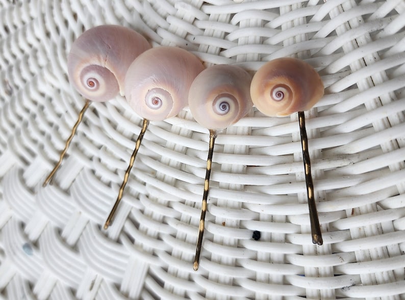 Seashell Hair Pins: Real Moon Shell & Scallop Bobbi Pins - Etsy