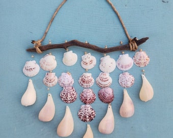 Marine Sea Decor 10-15 Cm Polished Natural Conch Shells Large - Etsy