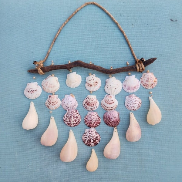 Seashell Hanging - Etsy