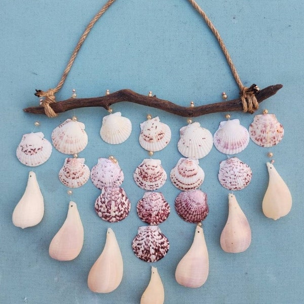 Seashell Hanging - Etsy