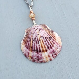 Real Seashell Necklace on Stainless Steel Chain. Scallop Shell Mermaid ...