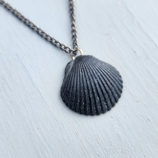 Real Seashell - Etsy